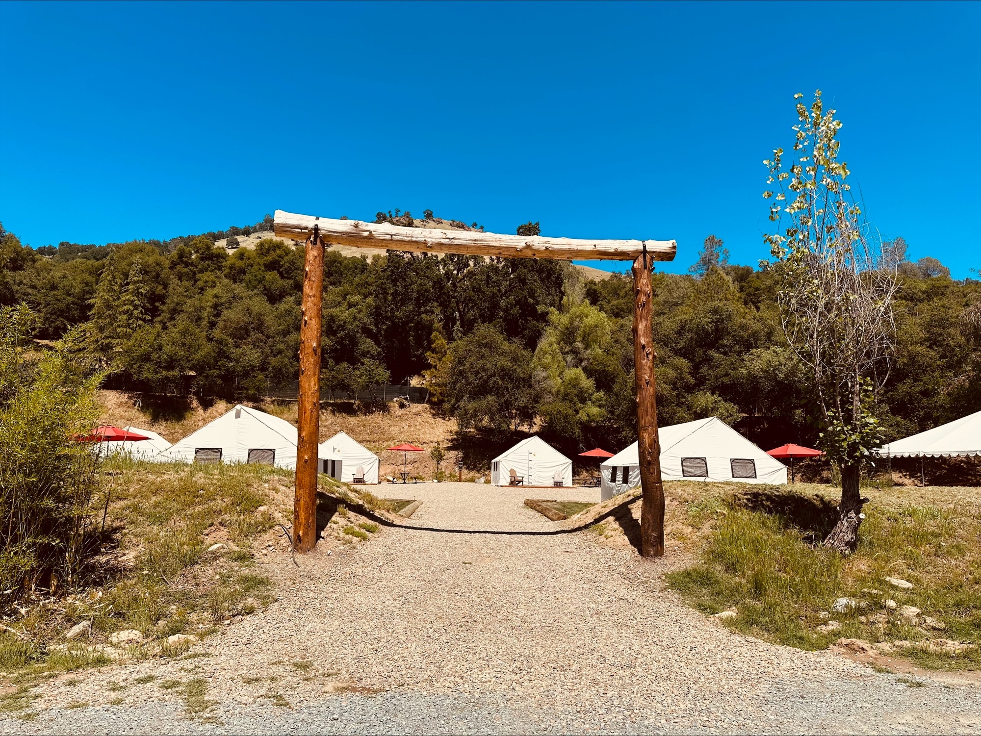 1849 Luxury Tent Village - Coloma Resort